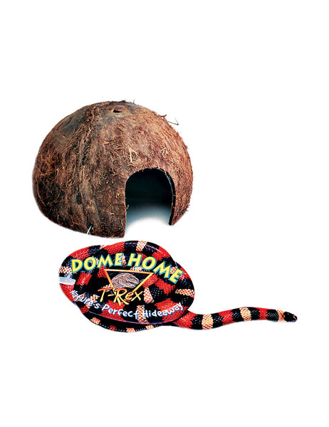 T-Rex Reptile Terrarium Decor - Dome Home – T-Rex Products